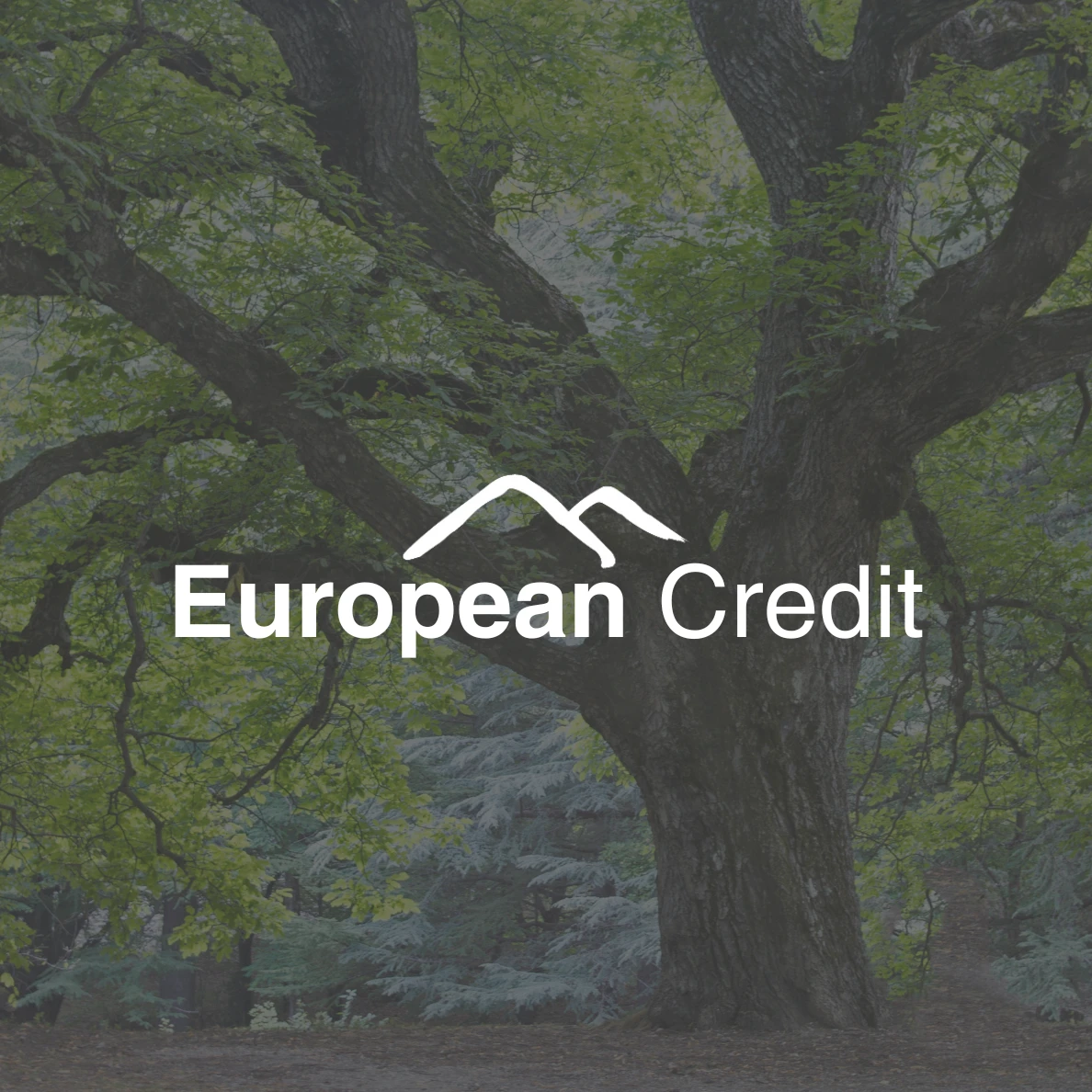 Tiptree Advisors | European Credit Strategies